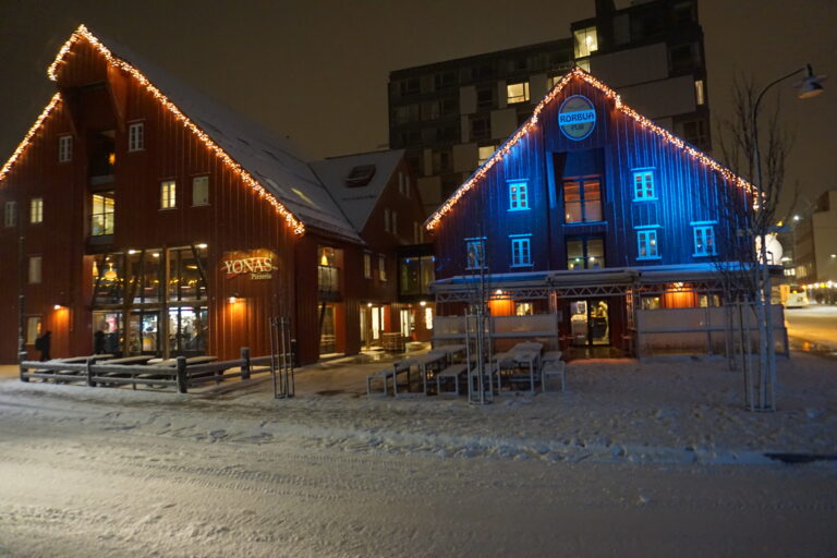Top 5 Best Things in Tromsø Norway (Winter 2022) - Mason and Josh